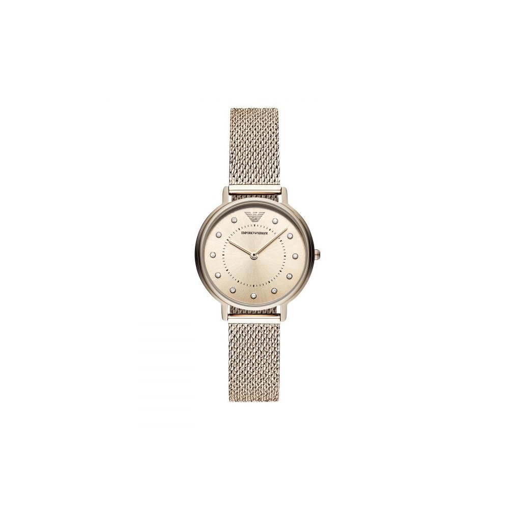 Montre Femme Emporio Armani AR11129